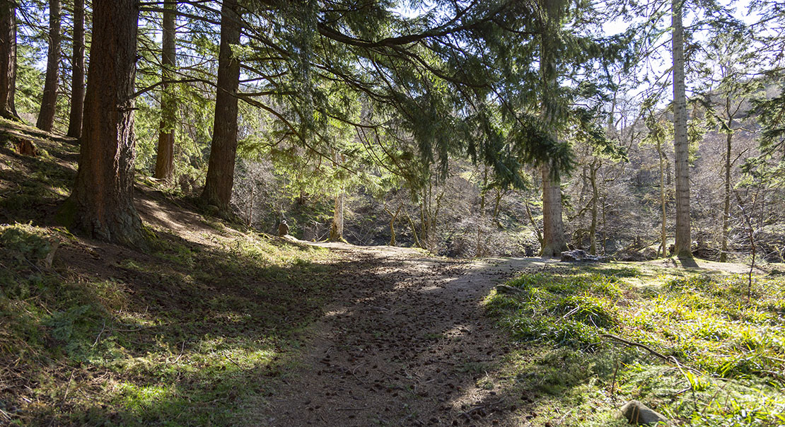 Linn Falls waterfall and circular walk at Aberlour, Moray
