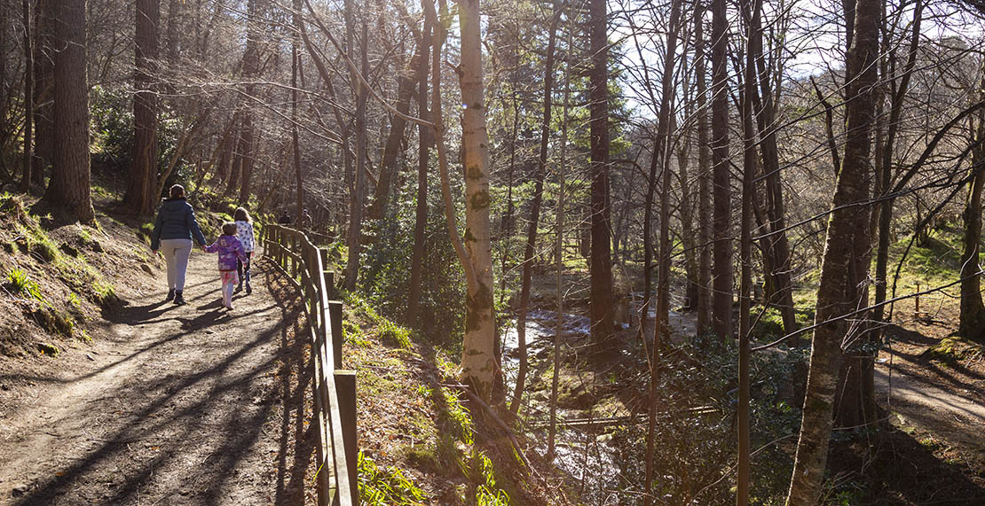 Linn Falls waterfall and circular walk at Aberlour, Moray