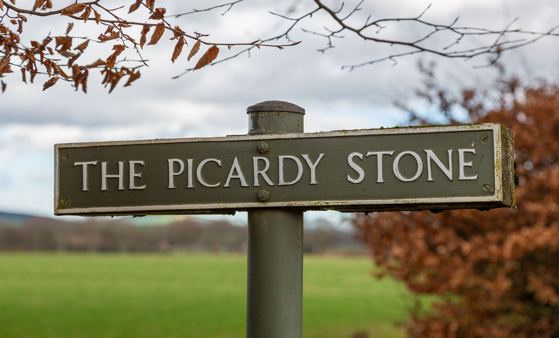 Explore the Picardy Stone: A Unique Pictish Symbol Stone